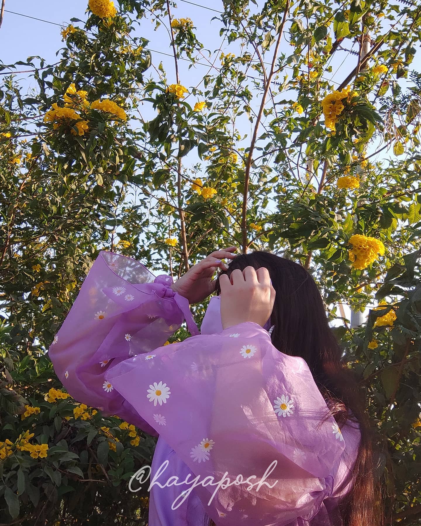 HayaPosh Exclusive – Hayaposh India